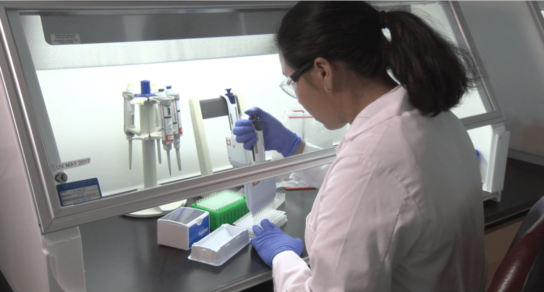 Agena Bioscience launches iPLEX Pro SARS-CoV-2 panel - HealthTekPak