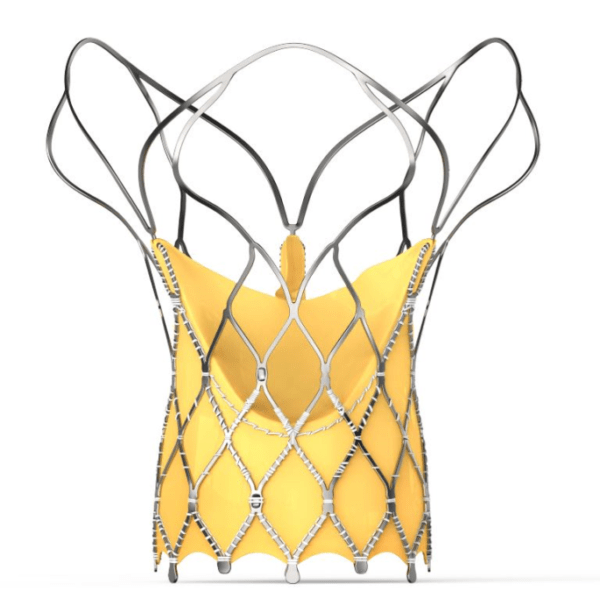 SMT launches TAVR device hydra in central Europe - HealthTekPak